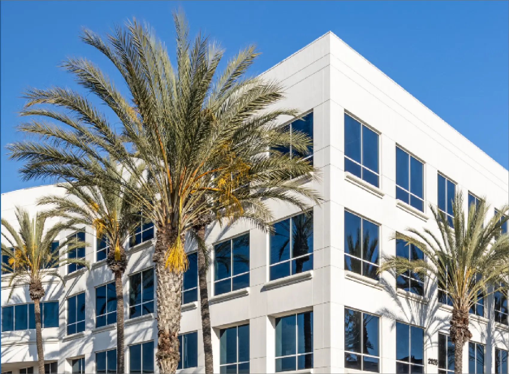 OC Office Tenants Seek Insta-Worthy Environments To Collaborate